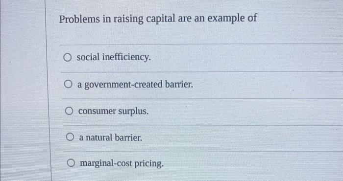 Solved problems in raising capital are an example of;- | Chegg.com