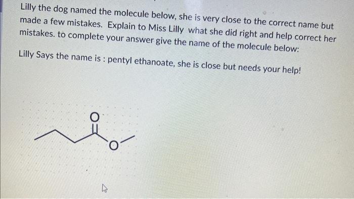 Solved Lilly the dog named the molecule below, she is very | Chegg.com
