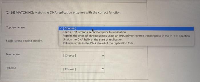 Solved (Ch16) MATCHING: Match the DNA replication enzymes | Chegg.com