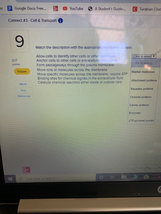 Solved s Google Docs: Free... YouTube A Student's Guide... C | Chegg.com