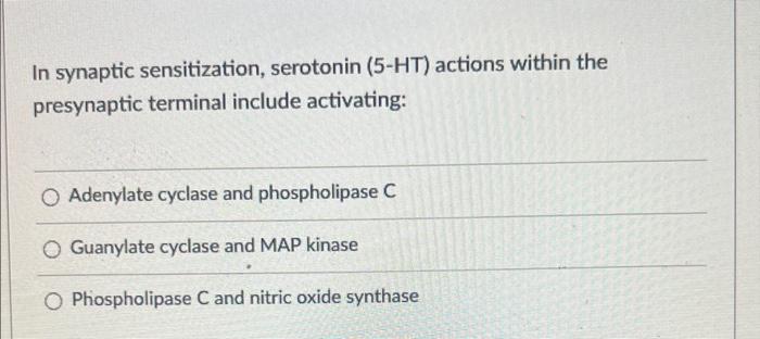 Solved In synaptic sensitization, serotonin (5-HT) actions | Chegg.com