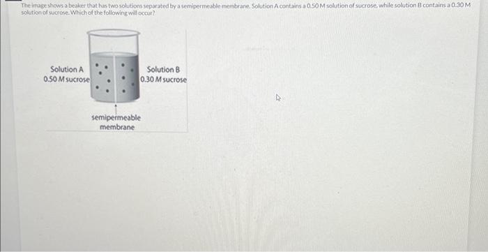 Solved The image shows a beaker that has two solutions | Chegg.com