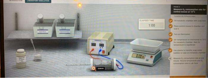 Solved CTION LABORATORY WMATION Mesure Oy consumption rate | Chegg.com