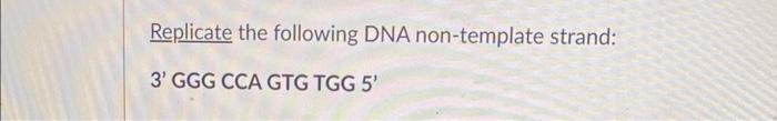 Solved Replicate the following DNA non-template strand: 3' | Chegg.com