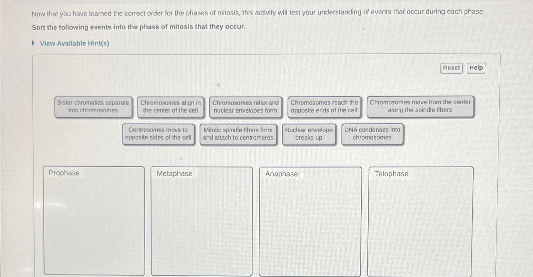 Solved Now that you have learned the correct order for the | Chegg.com