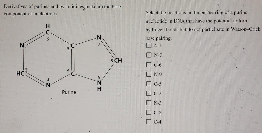 Solved Derivatives of purines and pyrimidines, make up the | Chegg.com