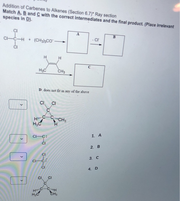 Solved Addition of Carbenes to Alkenes (Section 6.7) Ray | Chegg.com
