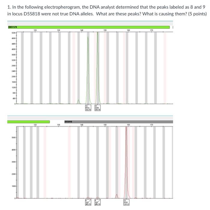 Solved 1. In the following electropherogram, the DNA analyst | Chegg.com