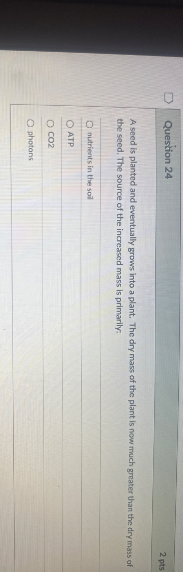 Solved Question 242 ﻿ptsA seed is planted and eventually | Chegg.com
