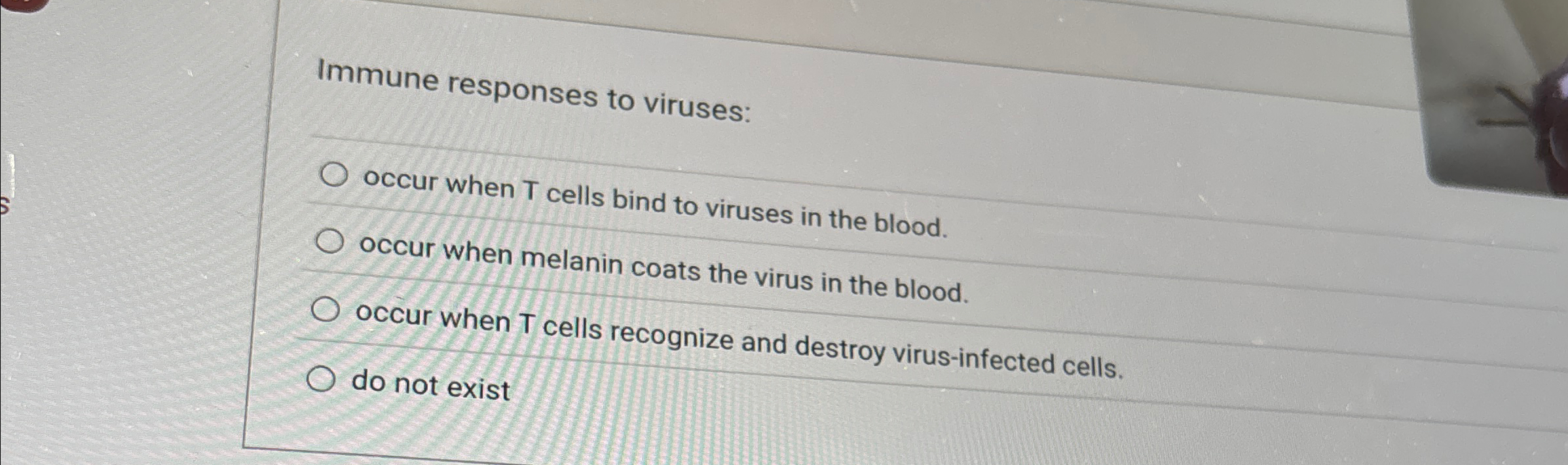Solved Immune responses to viruses:occur when T ﻿cells bind | Chegg.com