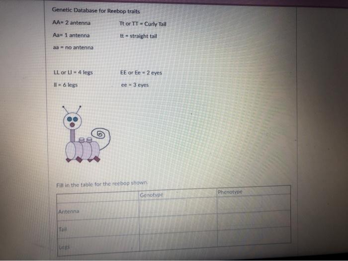 Solved Genetic Database for Reebop traits AA-2 antenna Tt or | Chegg.com