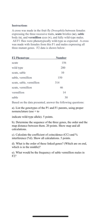 Solved Instructions A cross was made in the fruit fly | Chegg.com