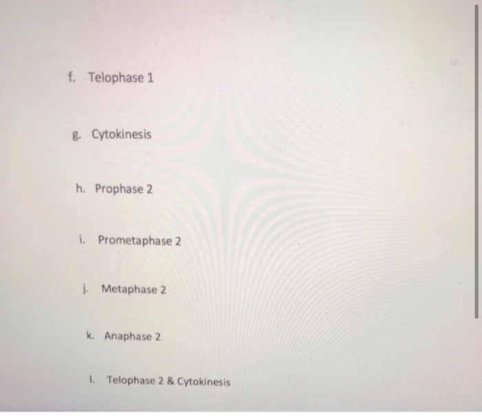 Solved 1. Draw out the process of mitosis by hand, including | Chegg.com