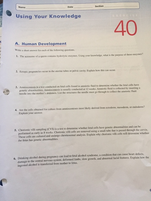 Solved Name Date Section Using Your knowledge 40. A. Human | Chegg.com
