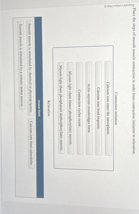 Solved Place the steps of smooth muscle contraction in order | Chegg.com