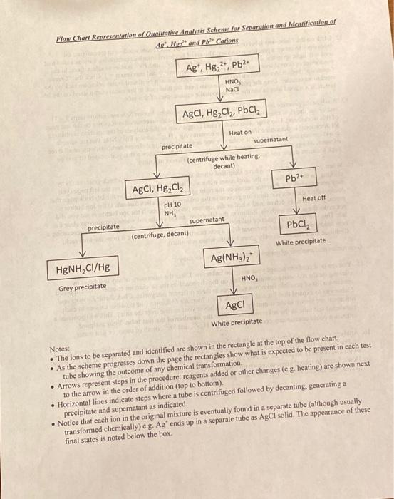8-3: Identification of Cations in Solution - Ag*, | Chegg.com