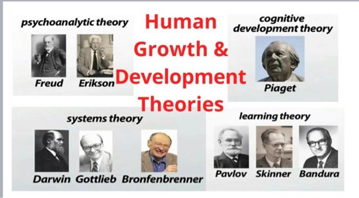 Solved Freud Erikson Development Theories systems theory | Chegg.com