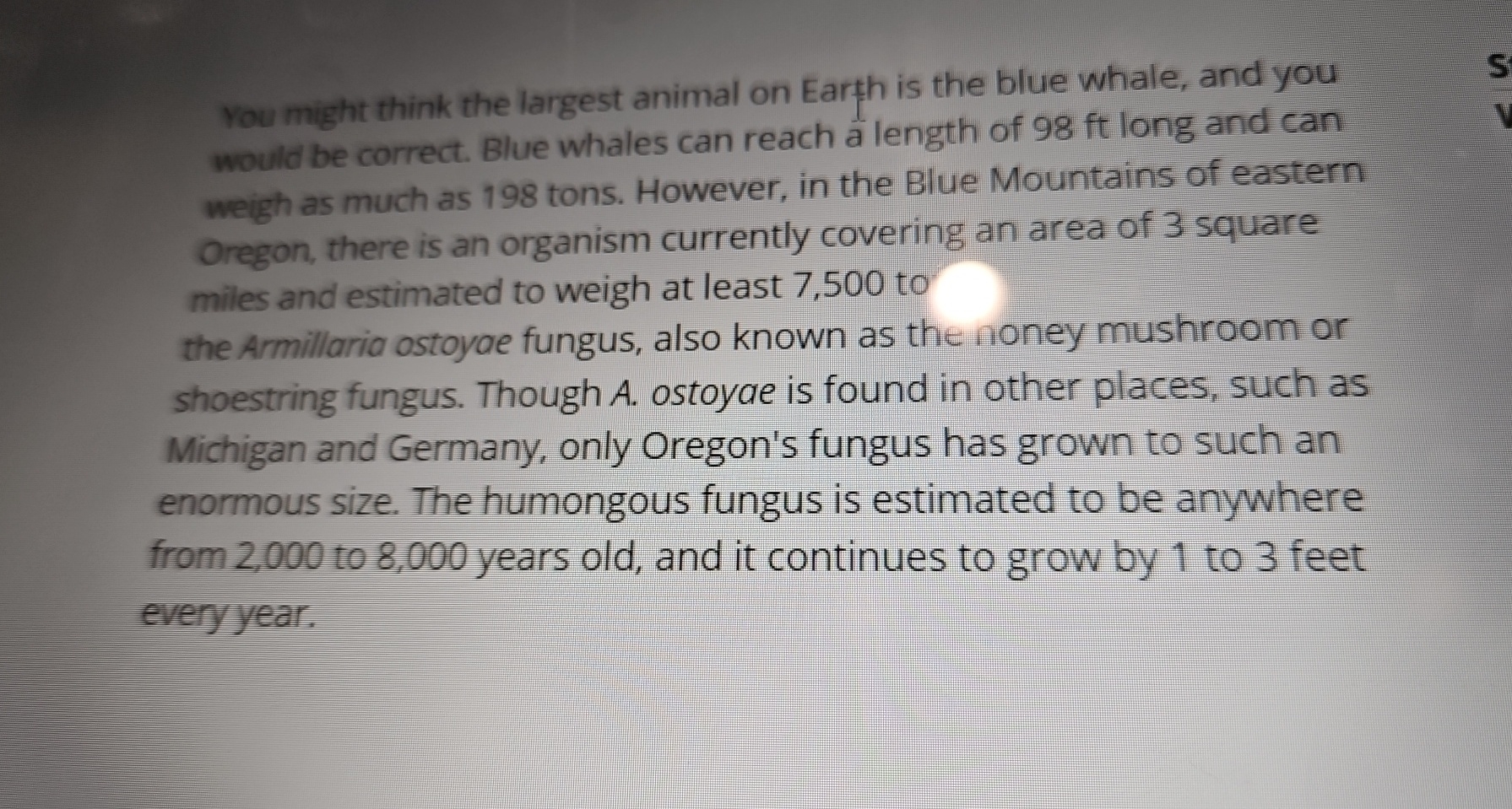 Solved You might think the largest animal on Earth is the | Chegg.com