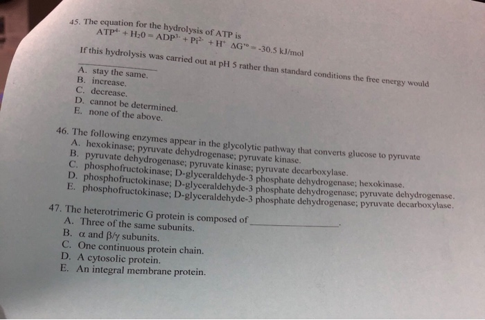 Solved 45. The equation for the hydrolysis of ATP is ATP- + | Chegg.com