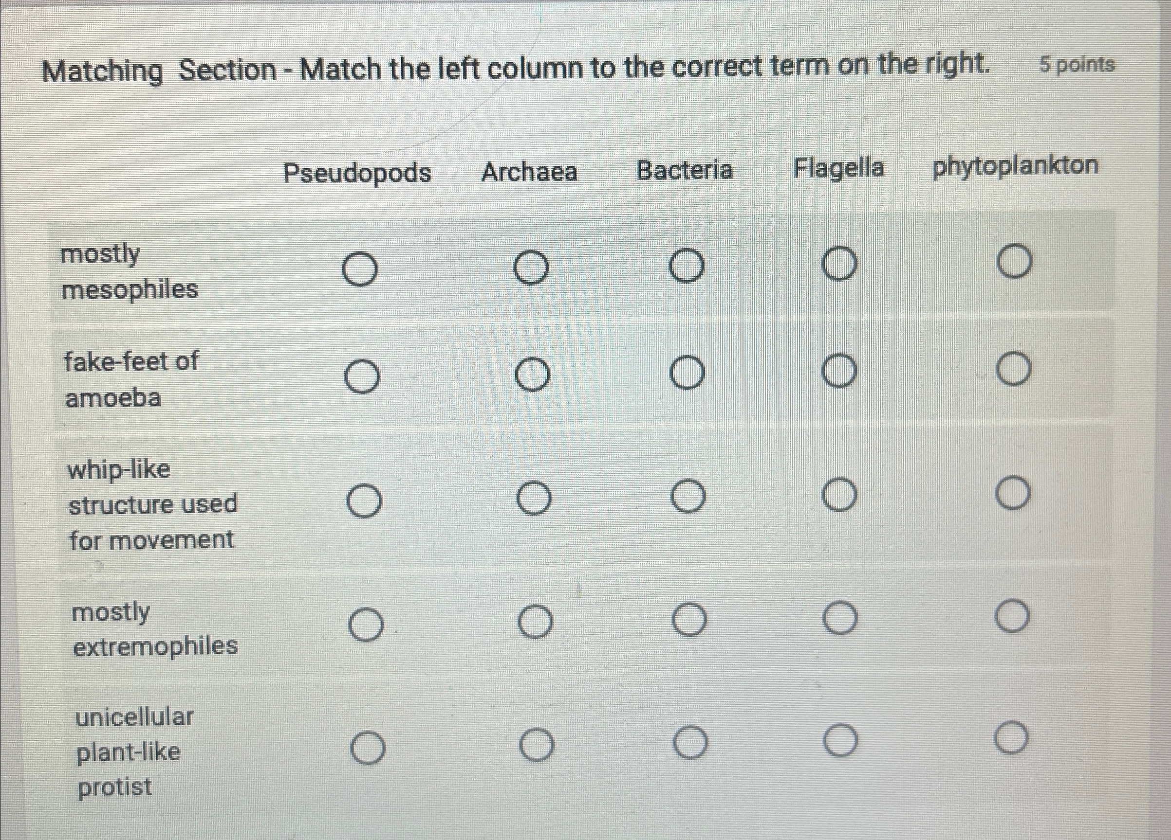 Matching Section - ﻿Match the left column to the | Chegg.com