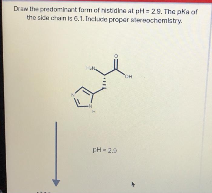 Solved Draw the predominant form of histidine at pH=2.9. The | Chegg.com