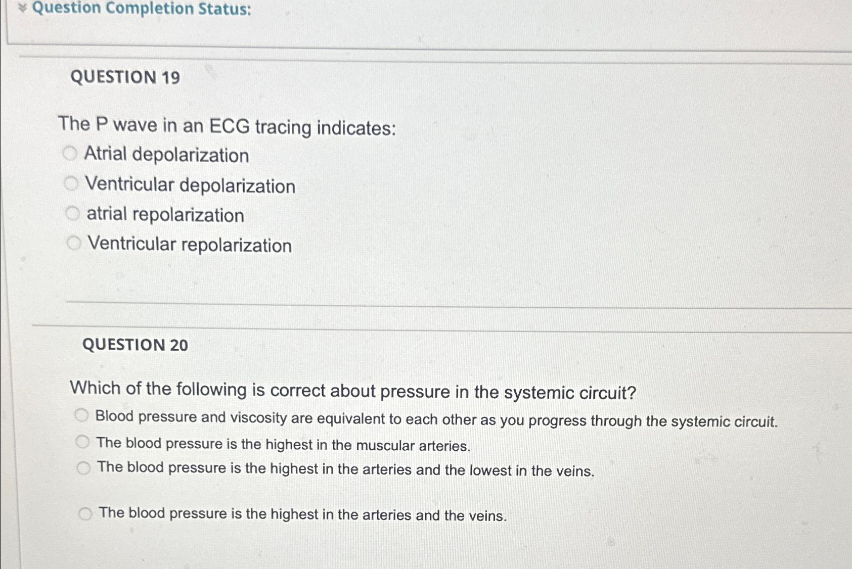 Solved Question Completion Status:QUESTION 19The P ﻿wave in | Chegg.com