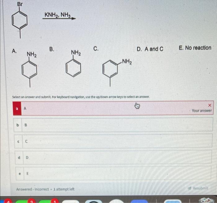 Solved Br KNH2, NH3 B. A. C. E. No reaction D. A and C NH2 | Chegg.com