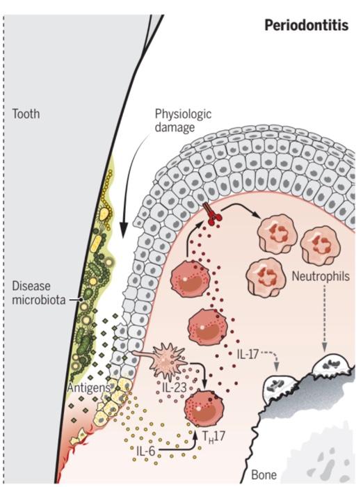 Solved can someone explain this photo in depth. | Chegg.com