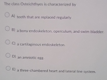 Solved The class Osteichthyes is characterized byA) ﻿teeth | Chegg.com