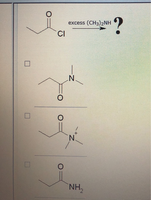 Solved excess (CH3)2NH NH, | Chegg.com