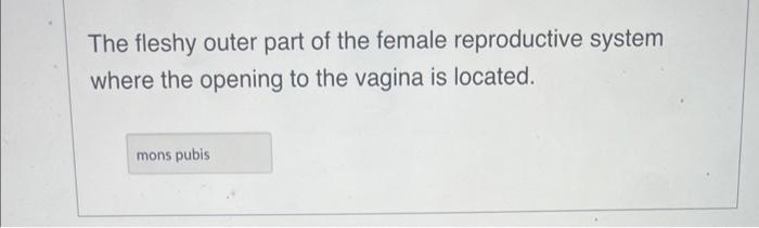 Solved The fleshy outer part of the female reproductive | Chegg.com