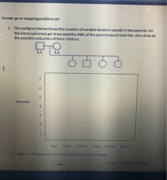 Solved Human gene mapping problem set 1. The pedigree below | Chegg.com