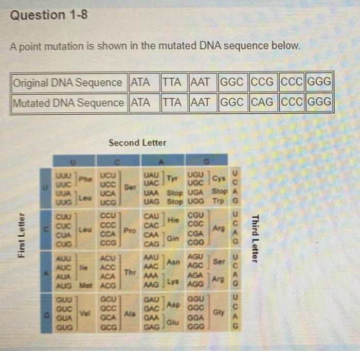 Solved A point mutation is shown in the mutated DNA sequence | Chegg.com