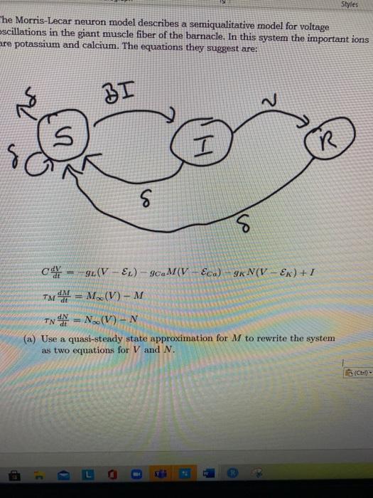 Solved Styles Che Morris-Lecar neuron model describes a | Chegg.com