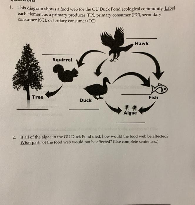 Solved 1. This diagram shows a food web for the OU Duck Pond | Chegg.com