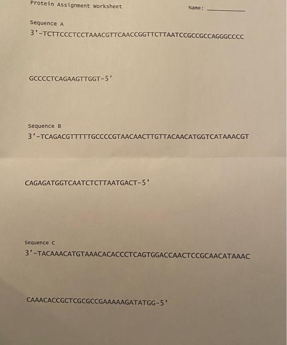 Solved need help with the procedure steps :1. Copy each of | Chegg.com