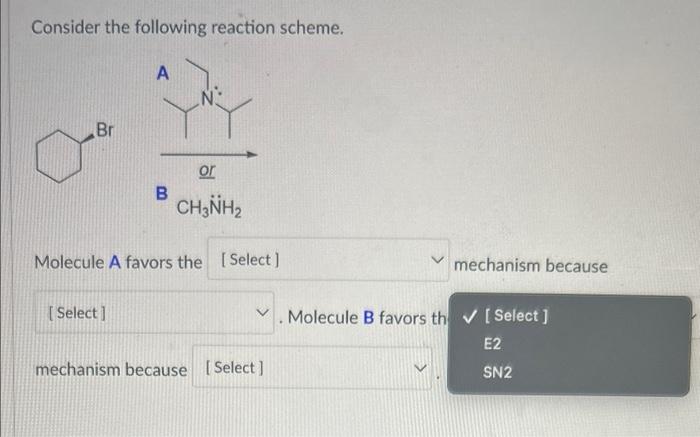 Solved Consider the following reaction scheme. B CH3NH¨2 | Chegg.com