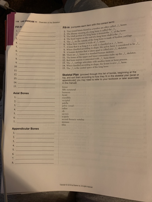 Solved 118 LAB EXERCISE 11 O wot the Fill-in Fill-in | Chegg.com