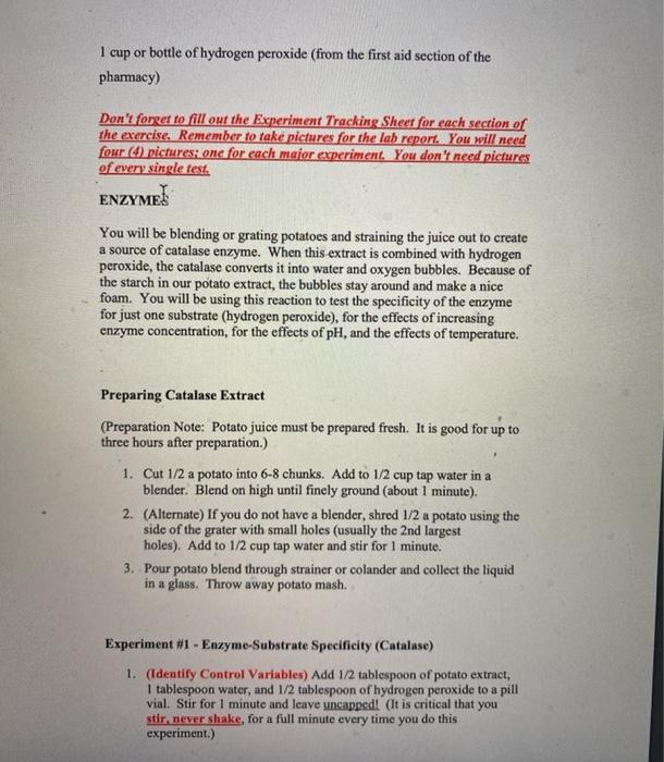 Solved Enzymes: Experiment Instructions (Lab Report) | Chegg.com