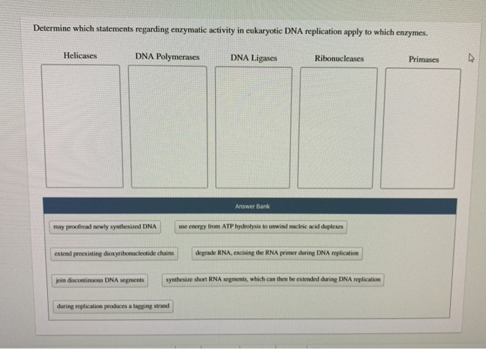 Solved Determine which statements regarding enzymatic | Chegg.com