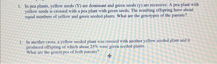 Solved 1. In pea plants, yellow seeds (Y) are dominant and | Chegg.com Solved 1. In pea plants, yellow seeds (Y) are dominant and | Chegg.com