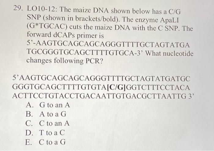 Solved 29. LO10-12: The maize DNA shown below has a C/G SNP | Chegg.com
