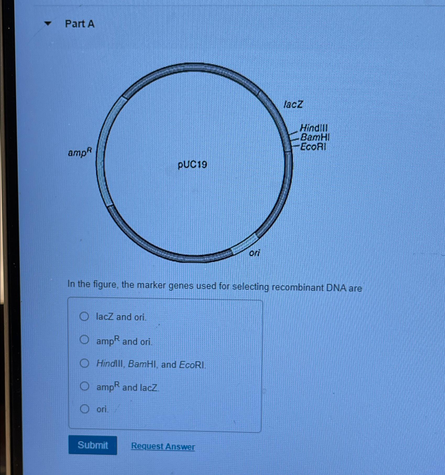 Solved Part Ain The Figure The Marker Genes Used For