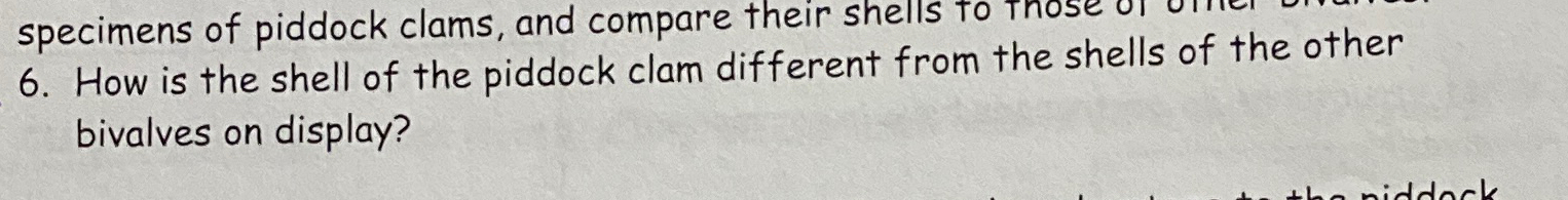 Solved 6. ﻿How is the shell of the piddock clam different | Chegg.com