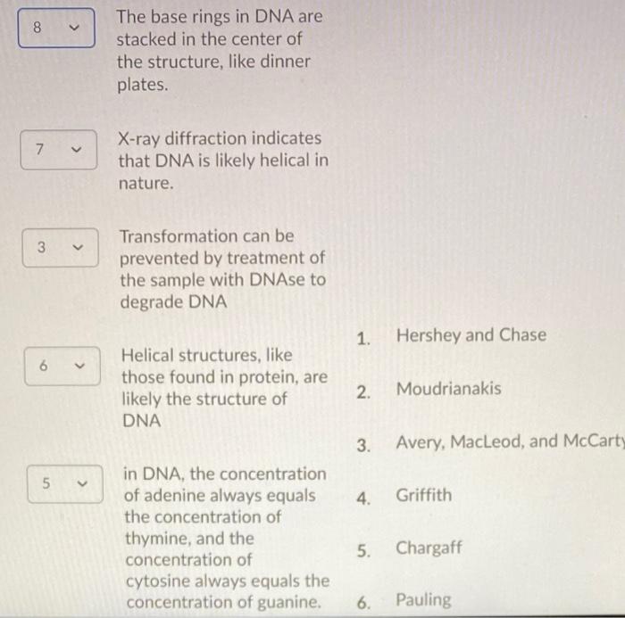 Solved 8 > The base rings in DNA are stacked in the center | Chegg.com