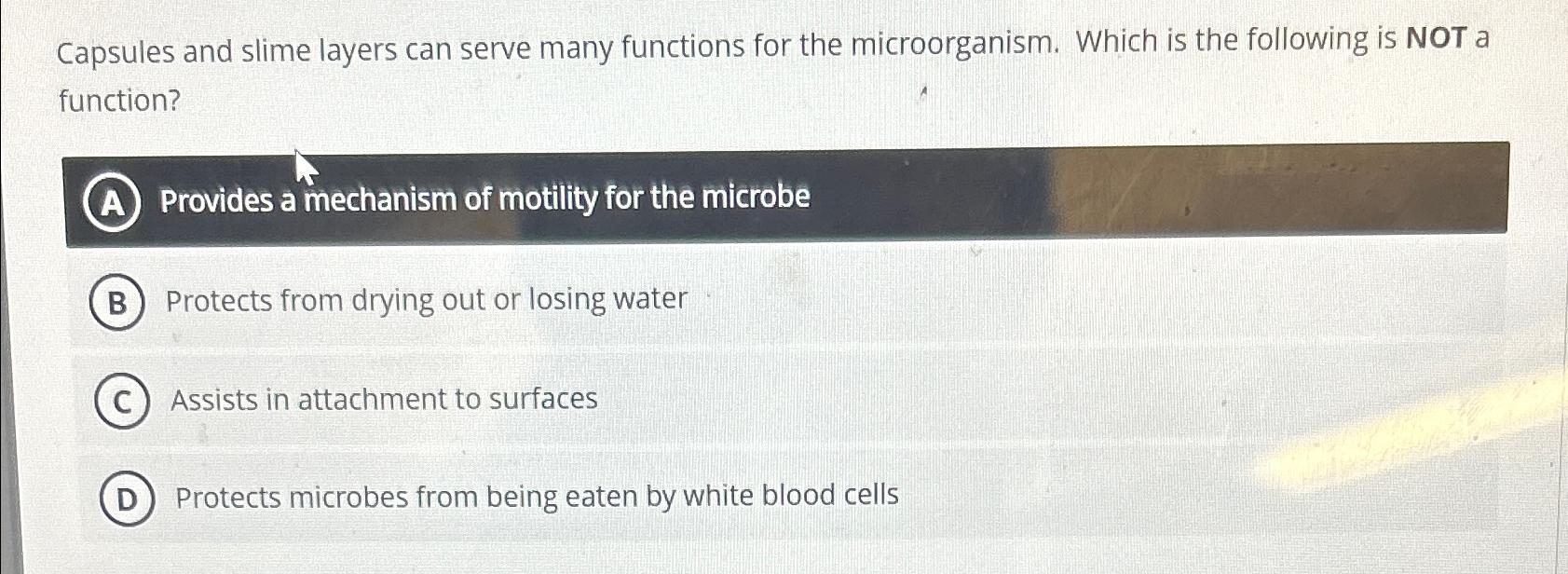 Solved Capsules and slime layers can serve many functions | Chegg.com