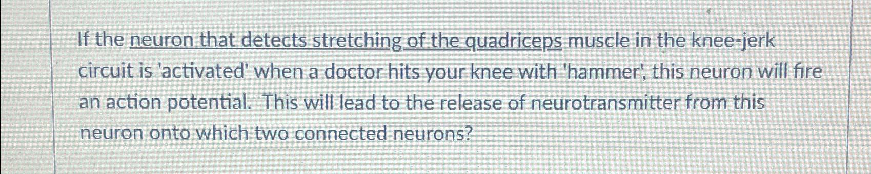 Solved If the neuron that detects stretching of the | Chegg.com