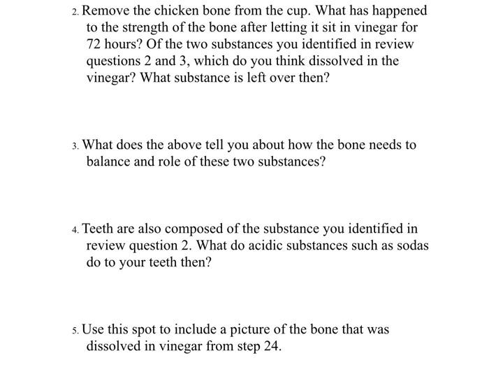 Solved 2. Remove the chicken bone from the cup. What has | Chegg.com