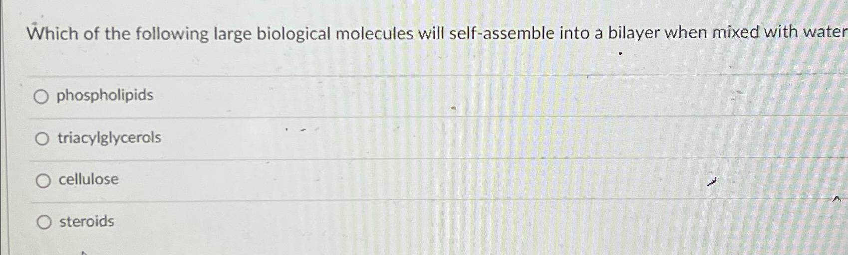 Solved Which of the following large biological molecules | Chegg.com
