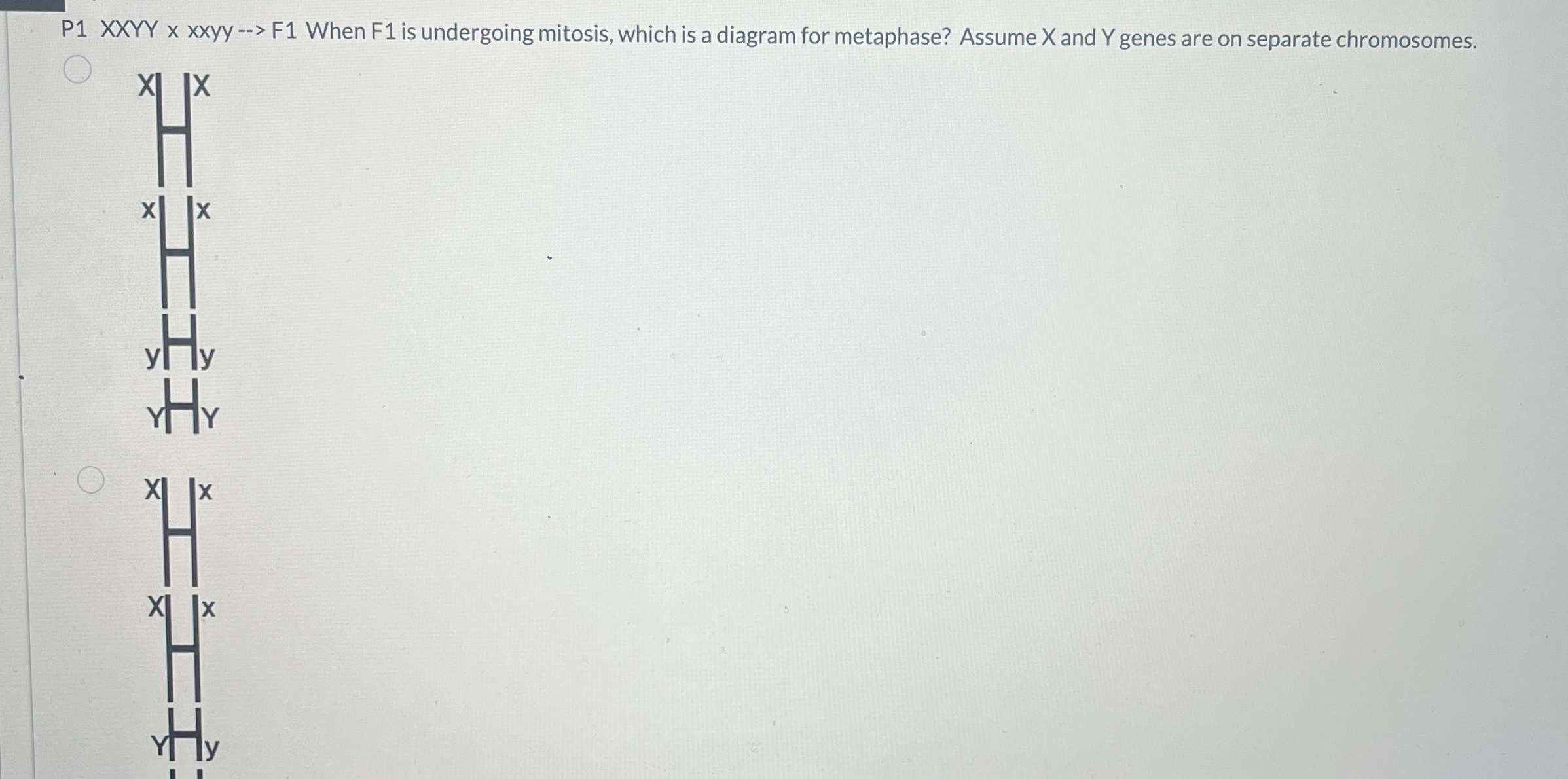 Solved P1 ﻿XXYY x ﻿xxyy --> ﻿F1 ﻿When F1 ﻿is undergoing | Chegg.com